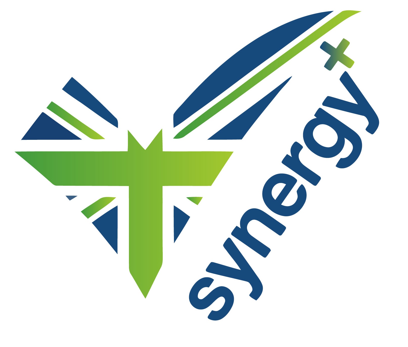 Synergy